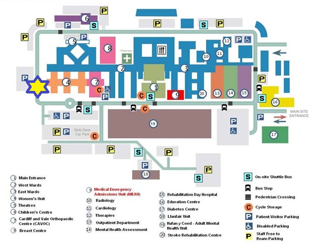 What to expect when in hospital for hip replacement surgery - Keeping ...